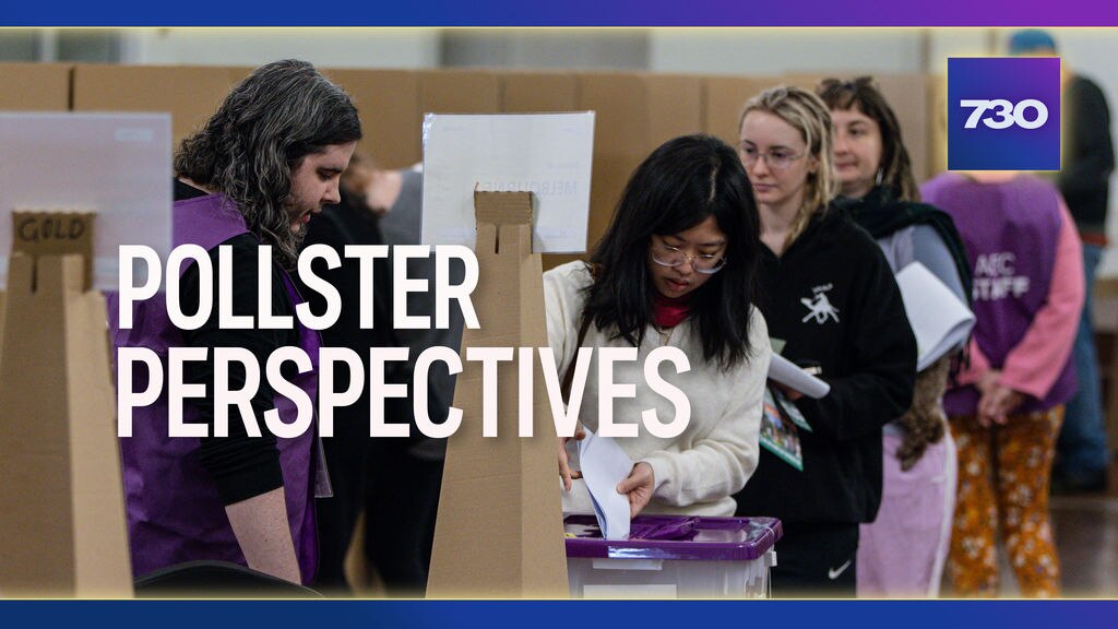 Can the final pre-election polls be trusted? | 7.30 - ABC News