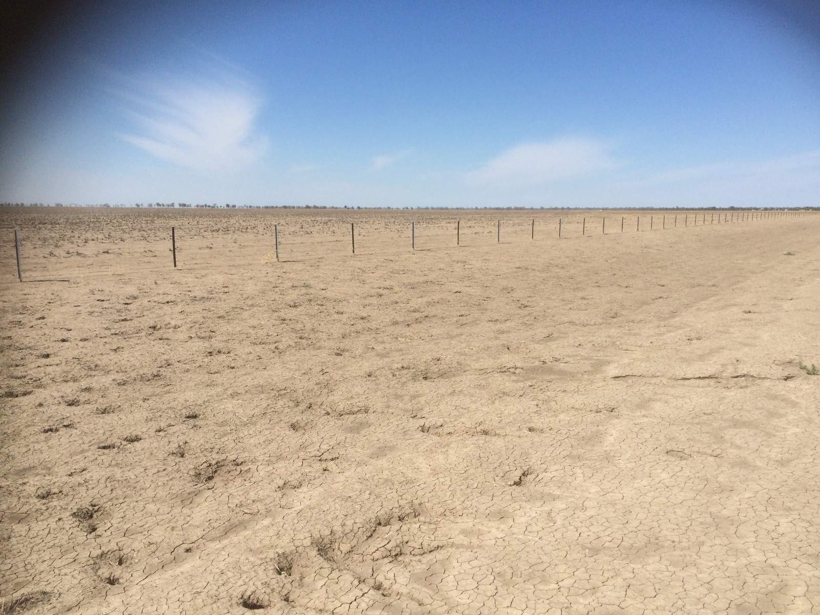 Collarenebri - 2833 - Location - ABC News