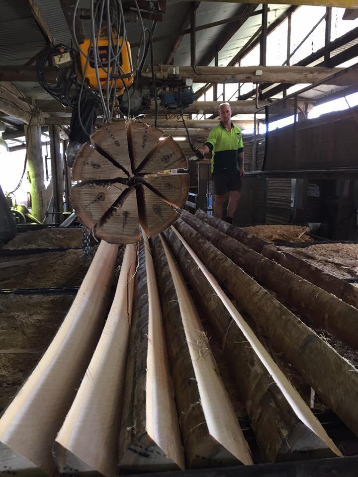 Victorian radial sawmill taking concept to commercial reality with ...
