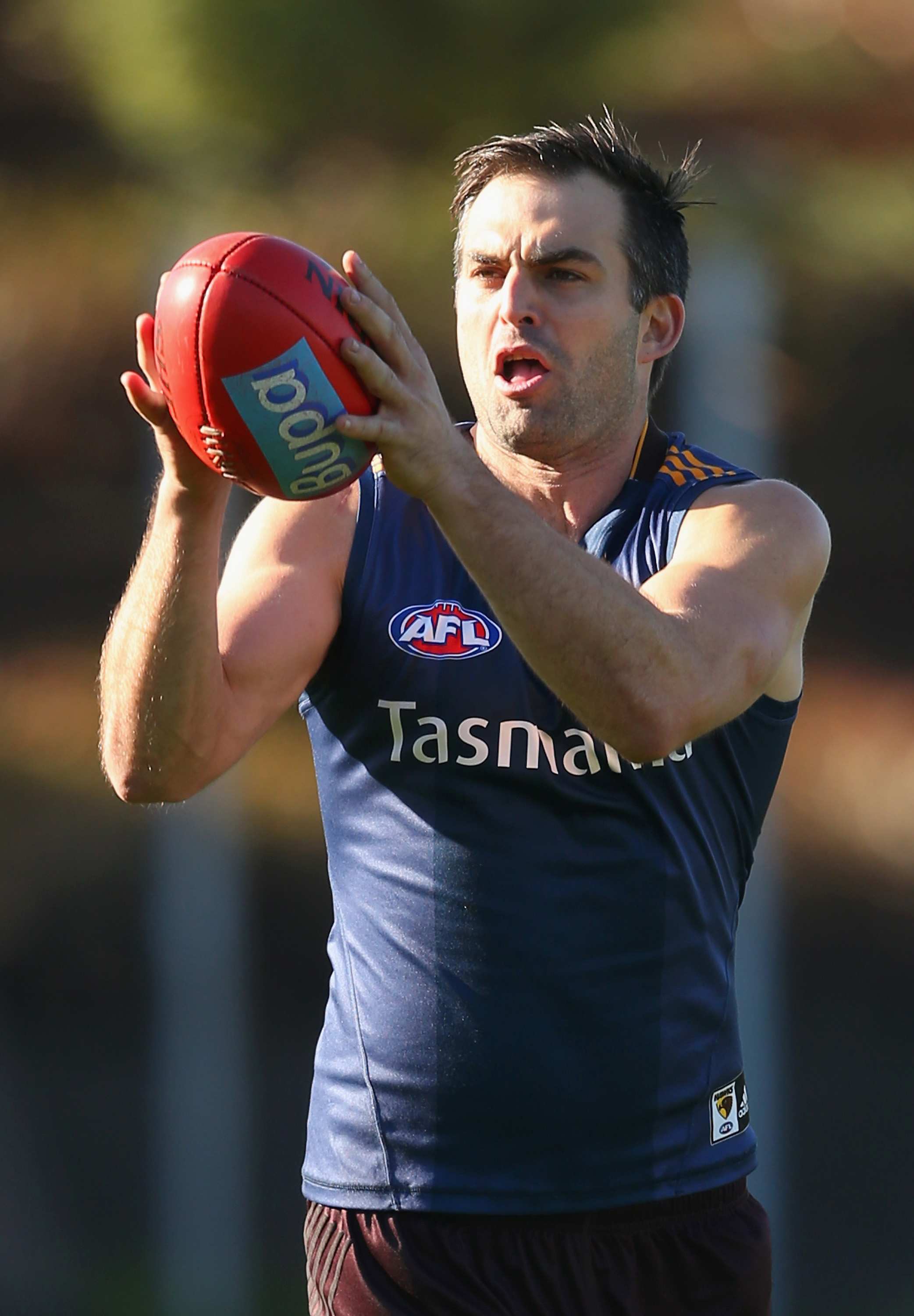 Hawthorn's Brian Lake successfully challenges rough conduct charge at ...