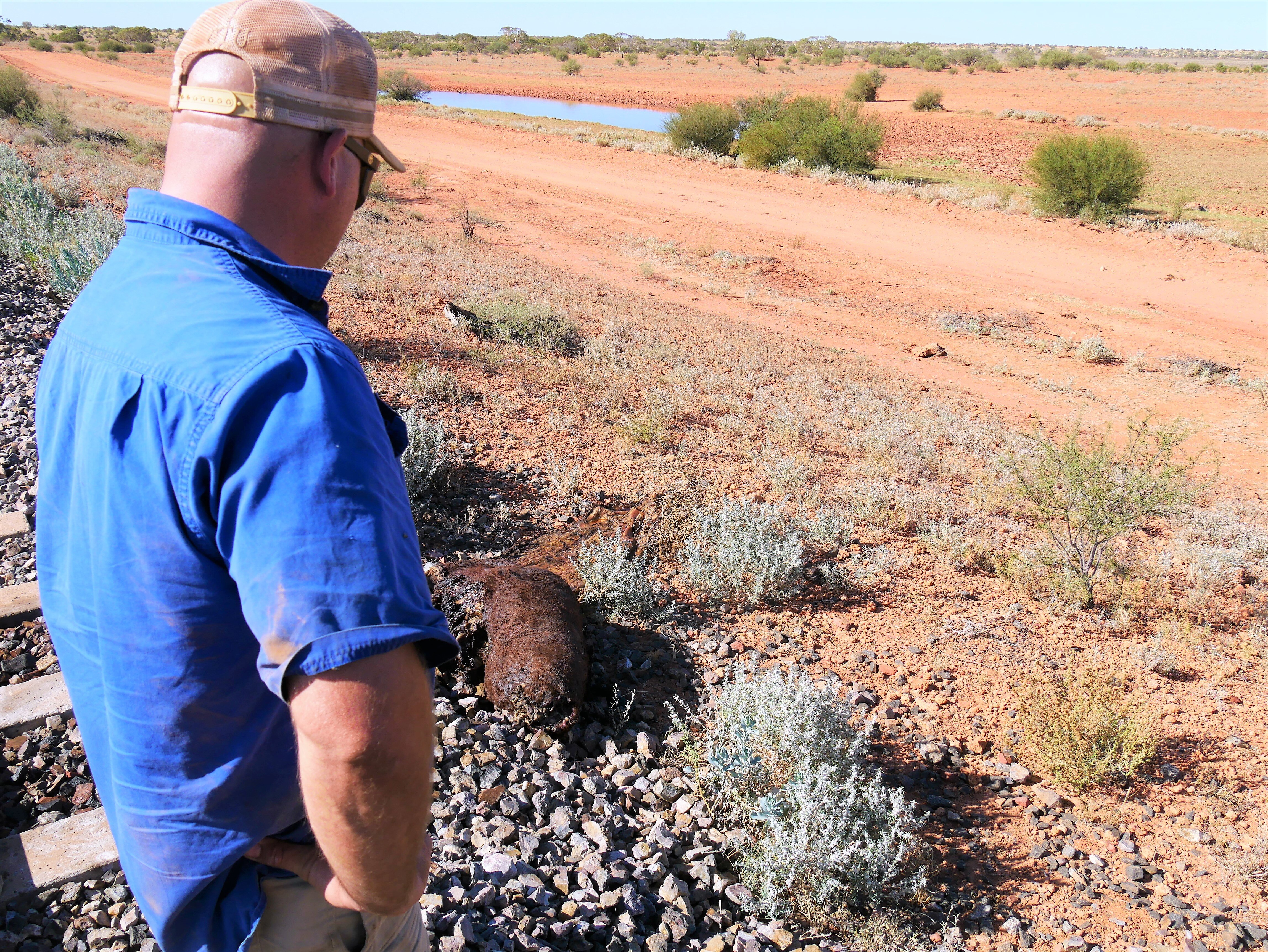 Hugo Rikard-Bell - ABC News