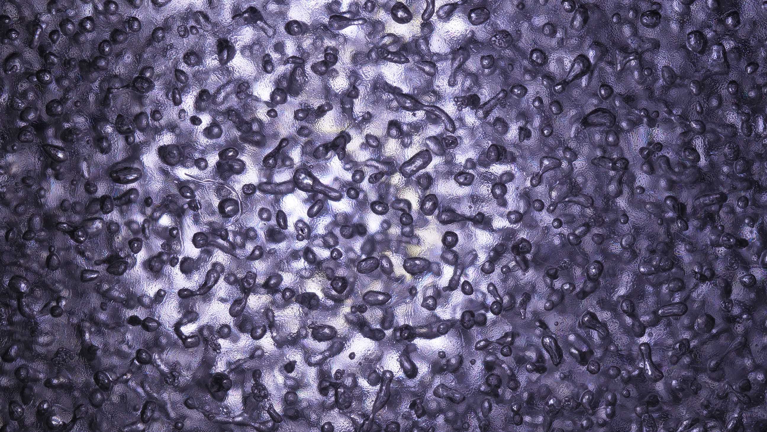 The hunt for hydroxyl radicals in Antarctica could reveal the secrets ...