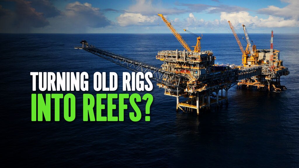 What to do with decaying offshore oil rigs? - ABC News