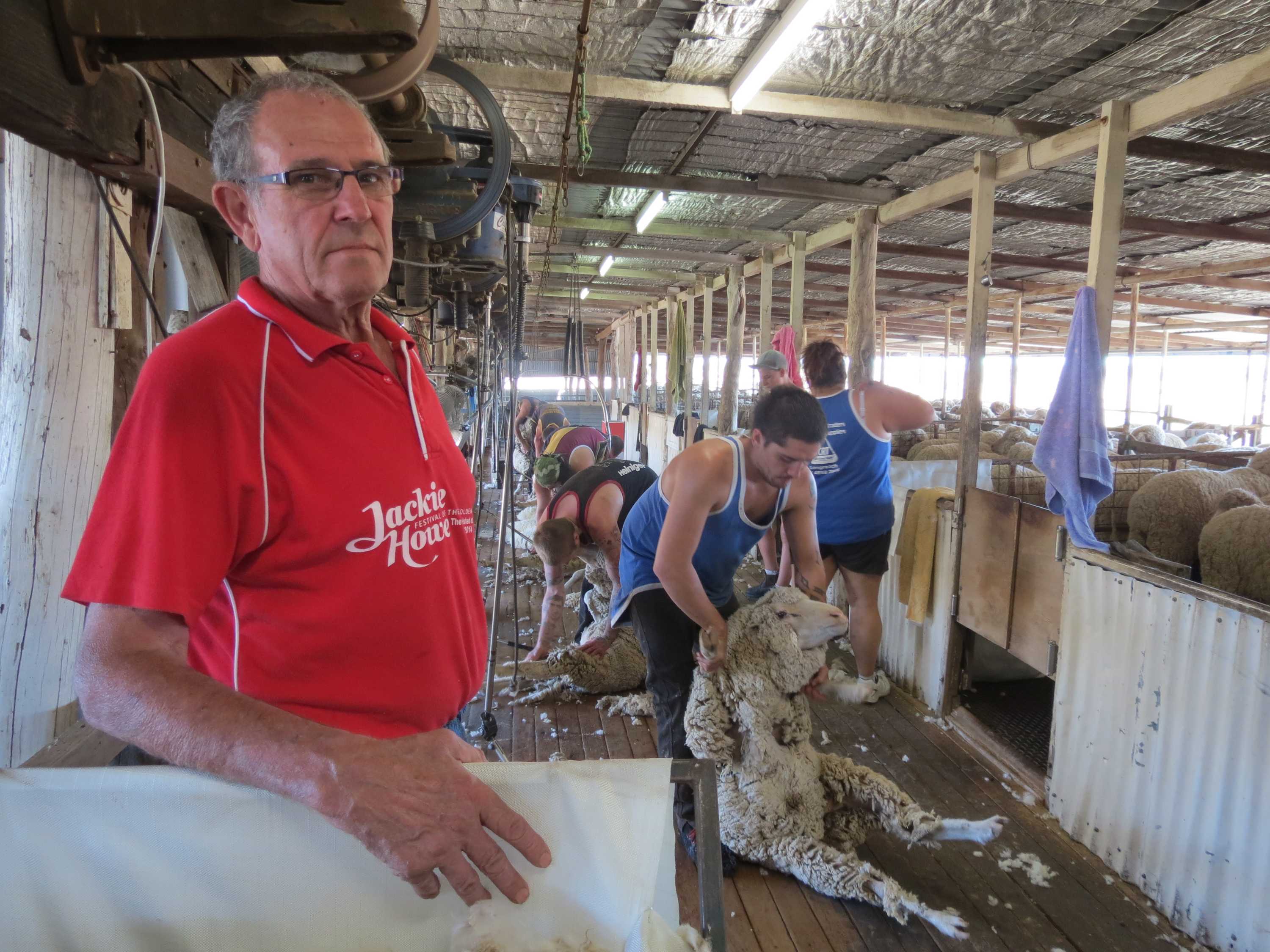Queensland's drought hitting shearing teams hard - ABC listen