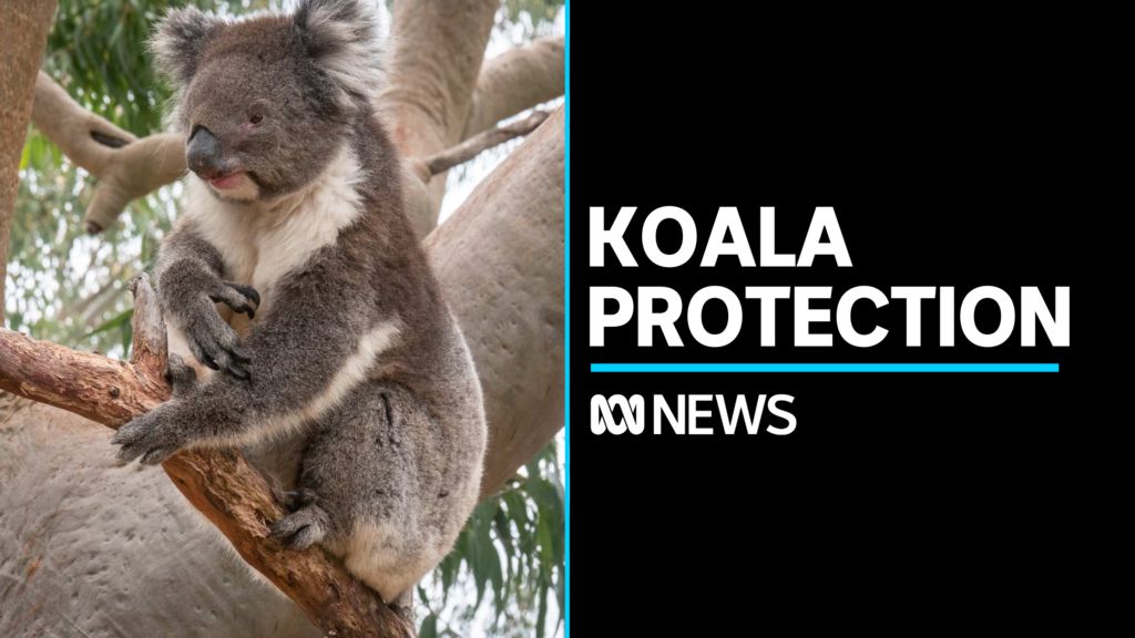 Animals - Topic - ABC News