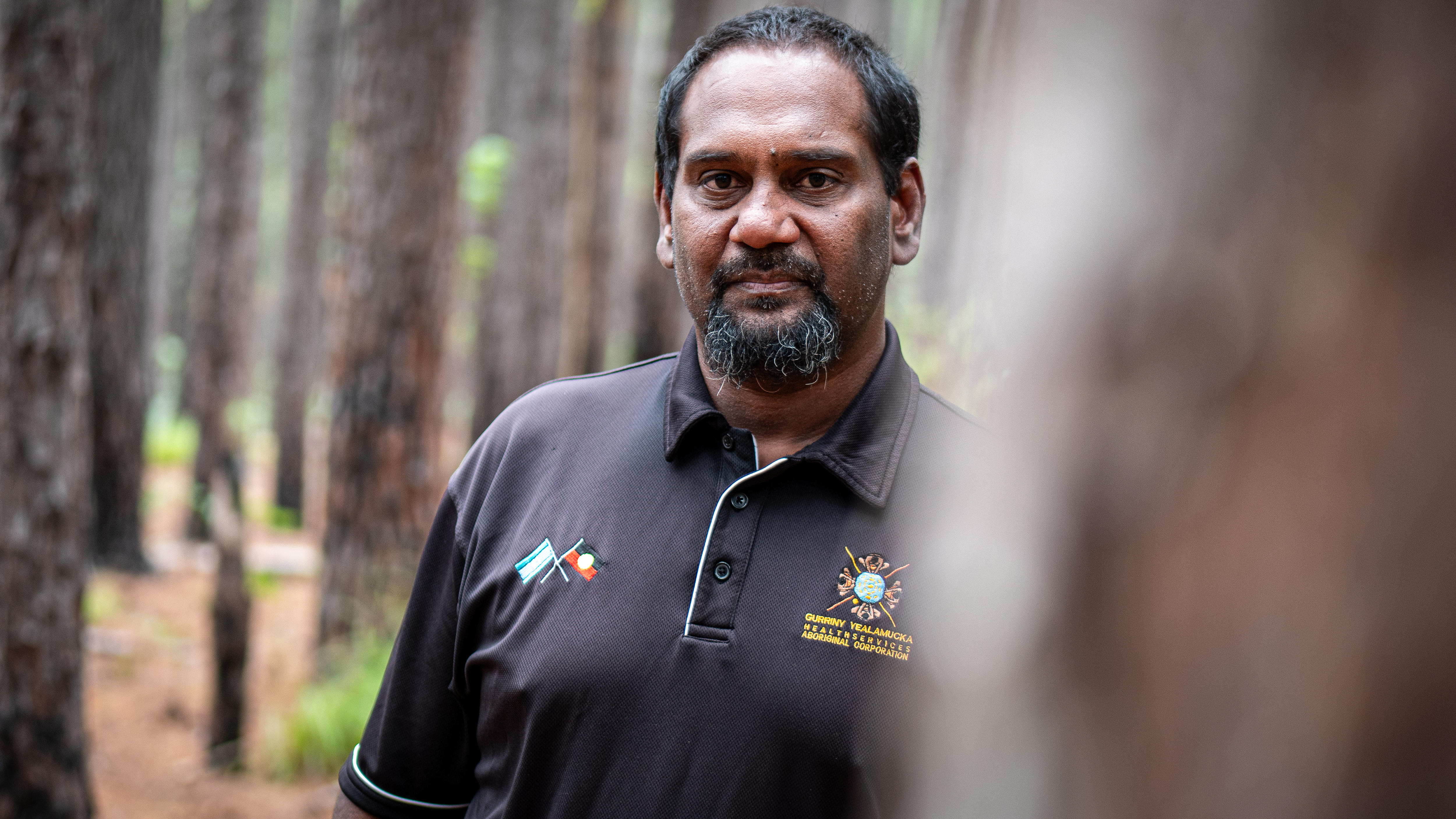 Regional Queensland Aboriginal communities give their interpretations ...