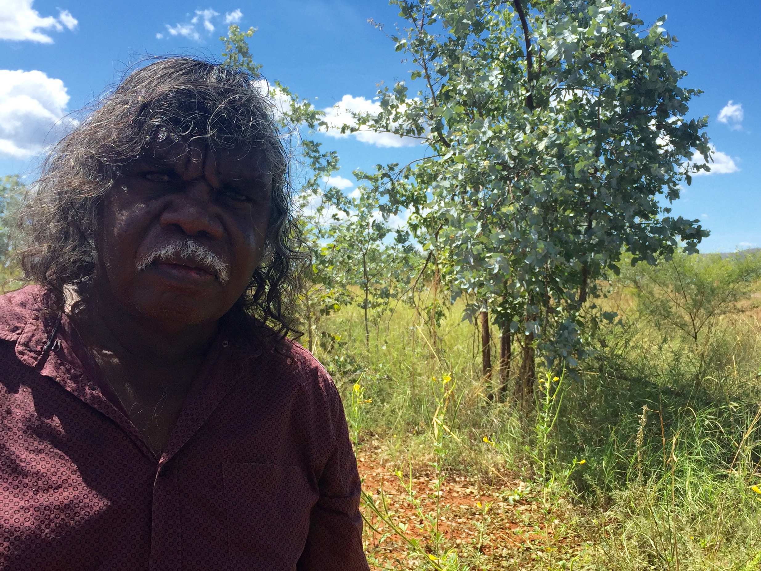 Indigenous dictionary may save the Miriwoong language from extinction ...