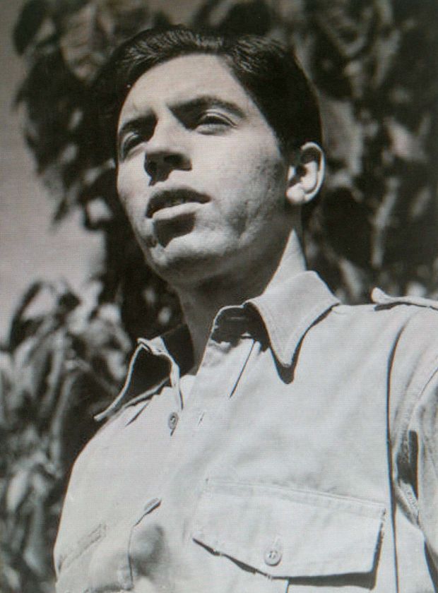 Family 'in shock' over actor Pate's sudden death - ABC News