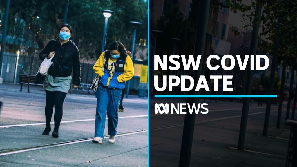 Windsor launches scathing attack on Abbott - ABC News