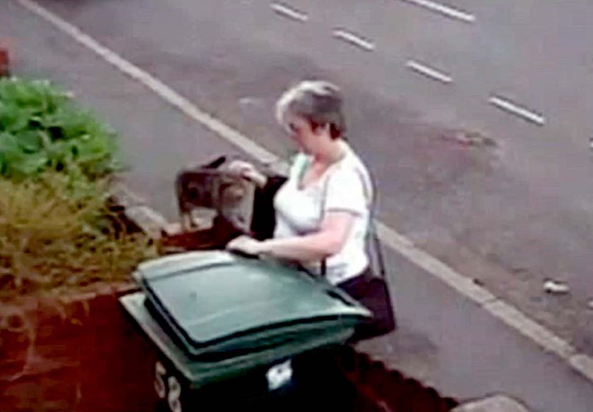 Woman who binned cat says sorry amid uproar - ABC News