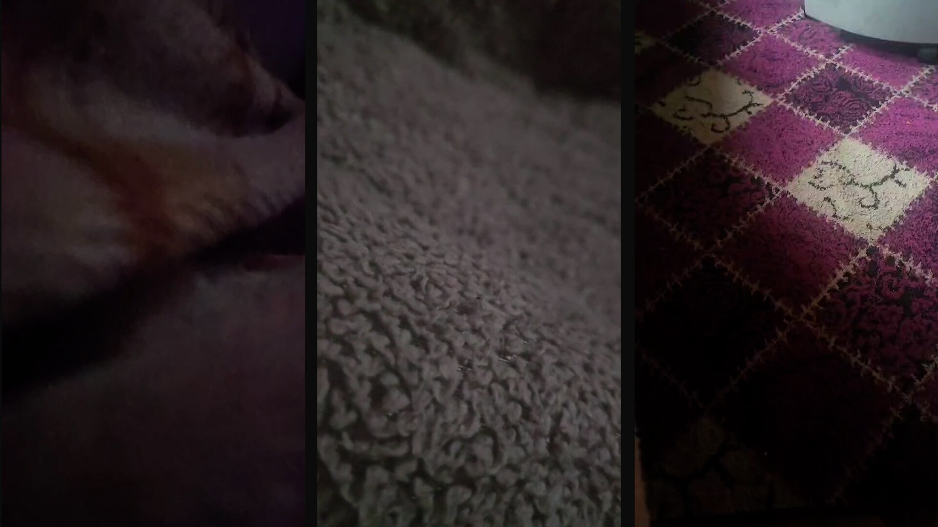 Jumana captures the sounds of war while hiding out in her shelter ...