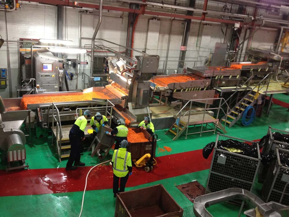 Simplot redundancies: What does the future hold for middle-aged workers ...