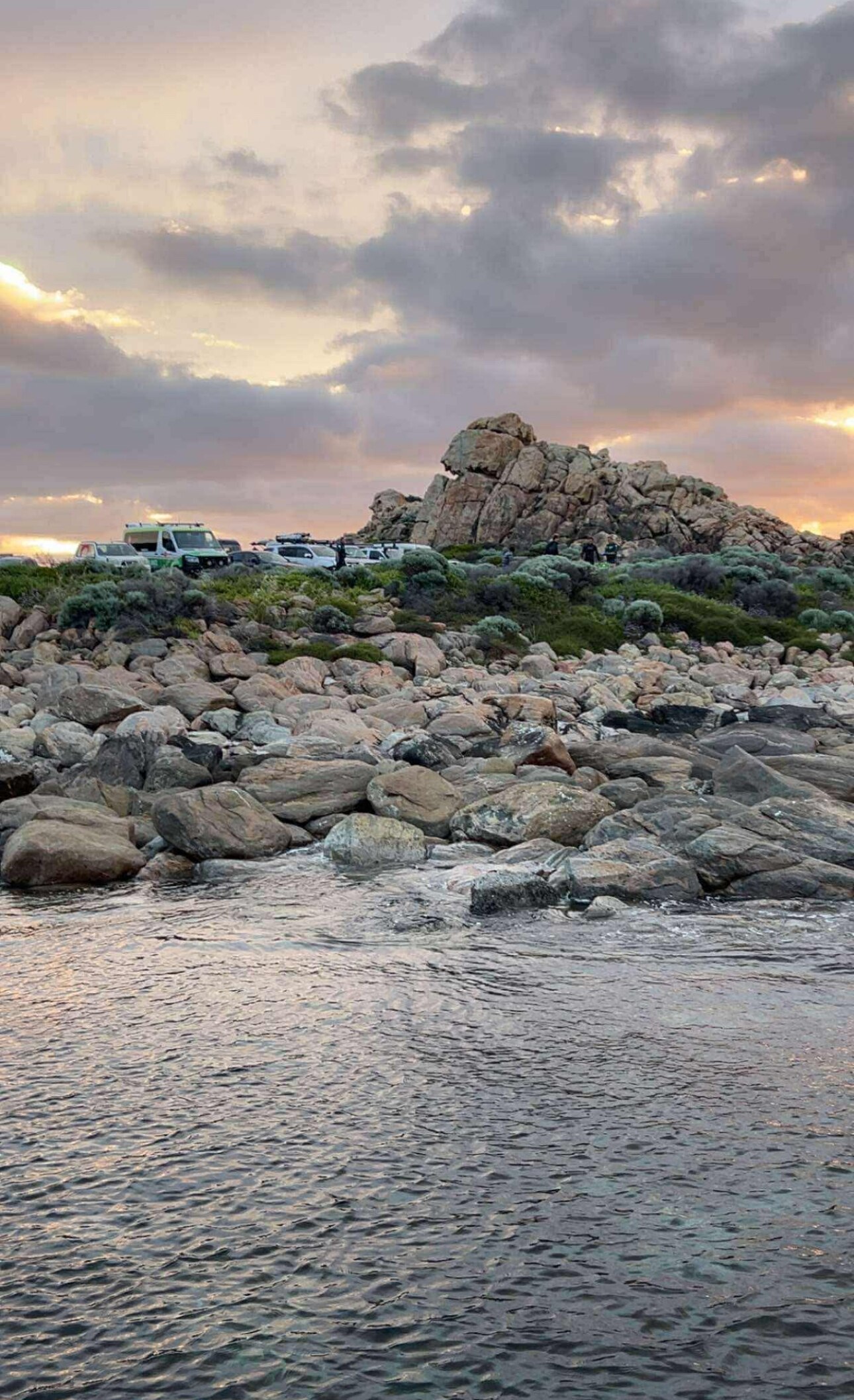 Speared wobbegong shark latches onto fisher's arm in WA's South West ...