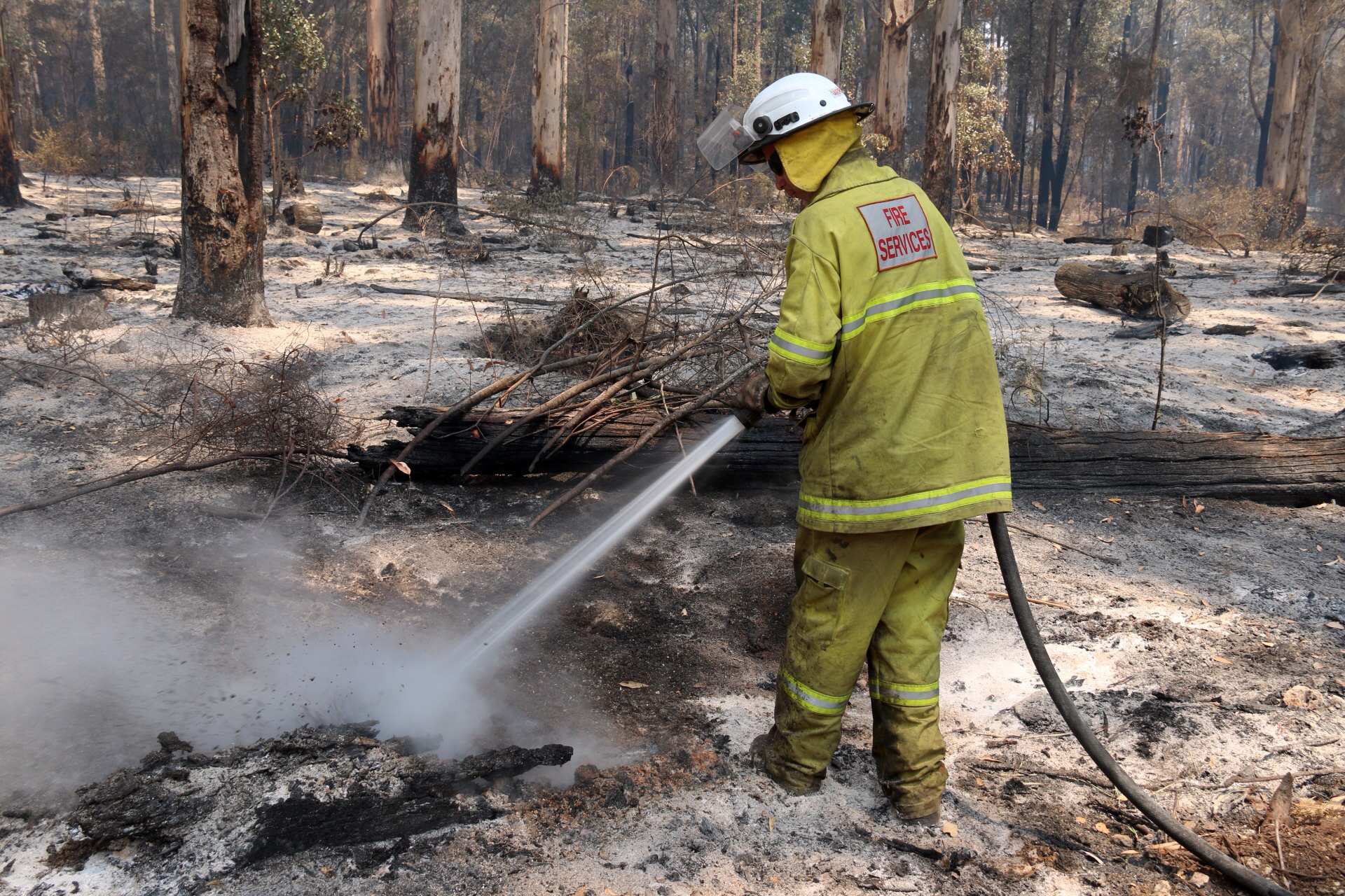 Northcliffe fire: Queensland firefighters join the battle in WA's South ...