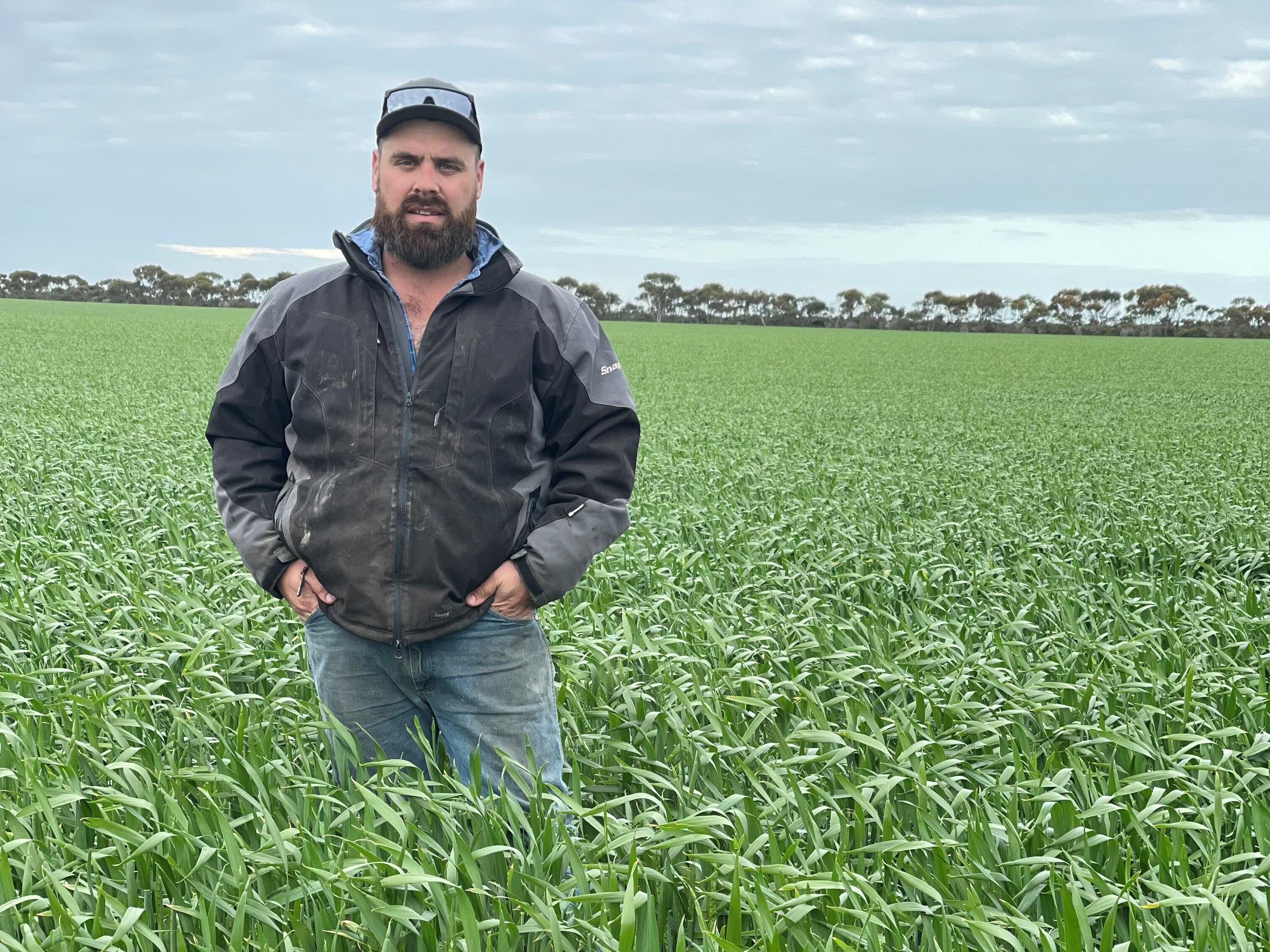 Pimple-popping community embracing Aussie farm videos - ABC News