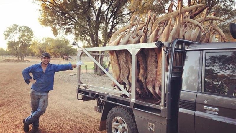 Kangaroo shooters hang up their guns under the pressures of drought ...