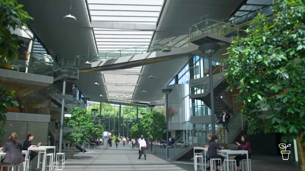 Flying High - Gardening Australia