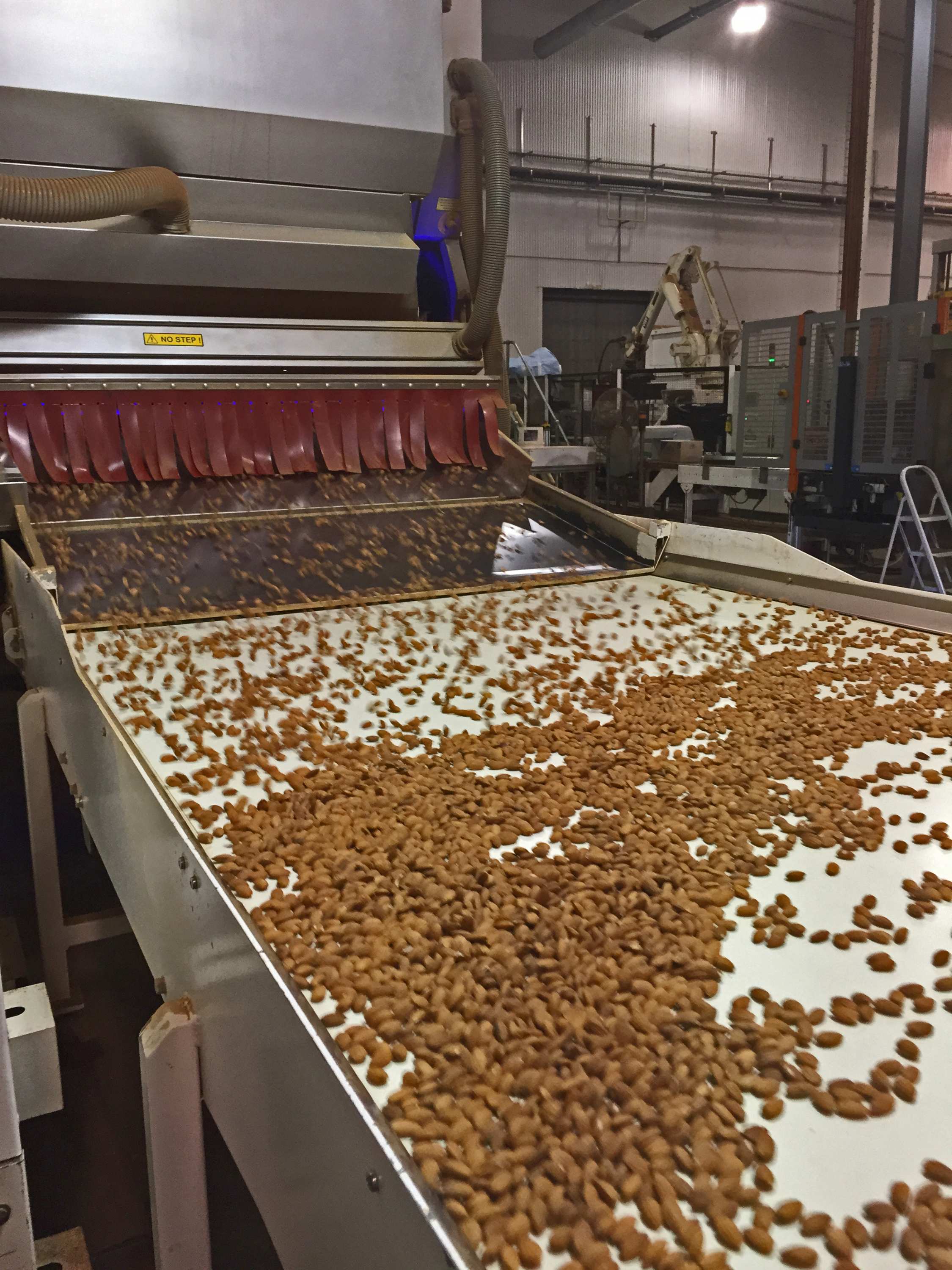 Biomass plant and almond only processing line win state funding ...