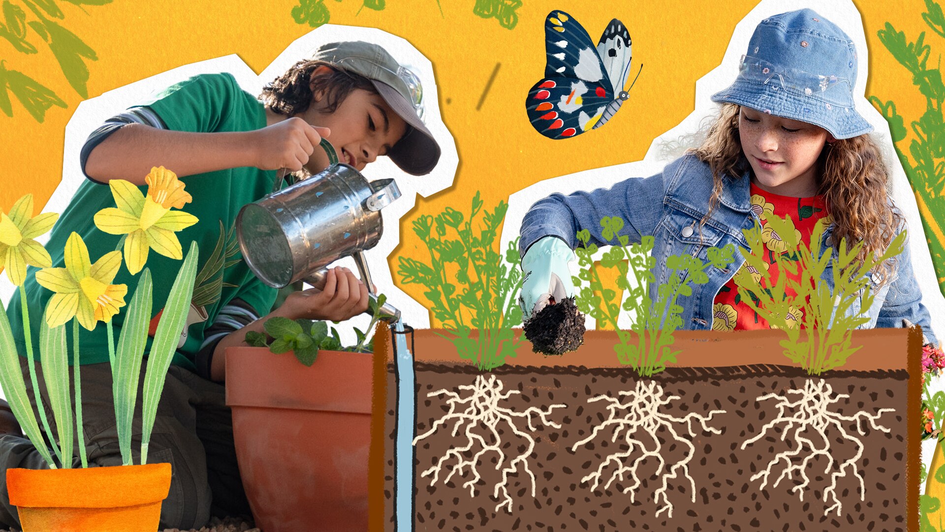 Make your own self-watering wicking wonder pot! - ABC Kids