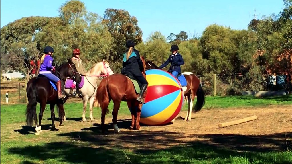 Pony Club 80: Pony Club is celebrating its 80th year in Australia - ABC ...