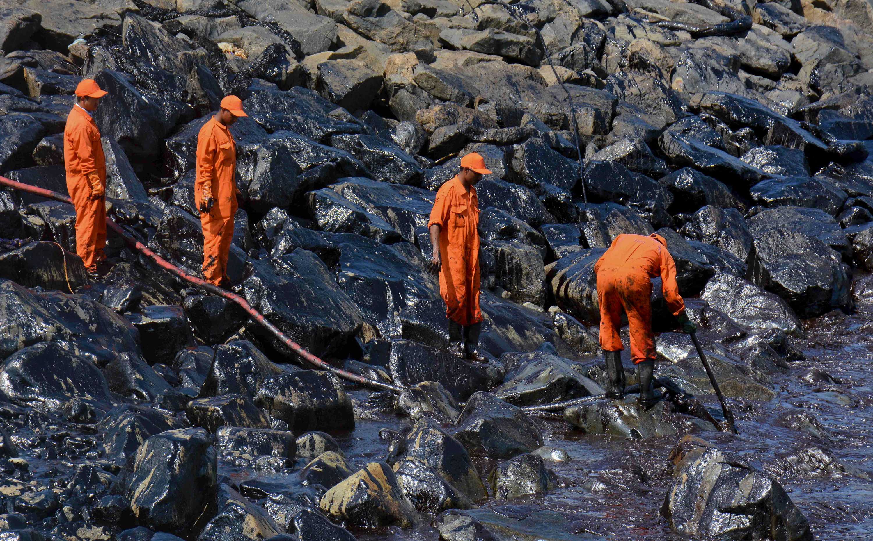 Mango peel could help clean up oil contamination, research finds - ABC News