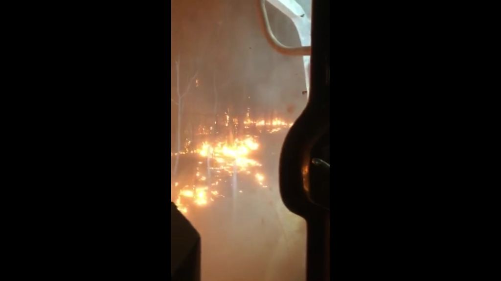 Vision from a machine clearing land to make fire breaks shows the harsh ...