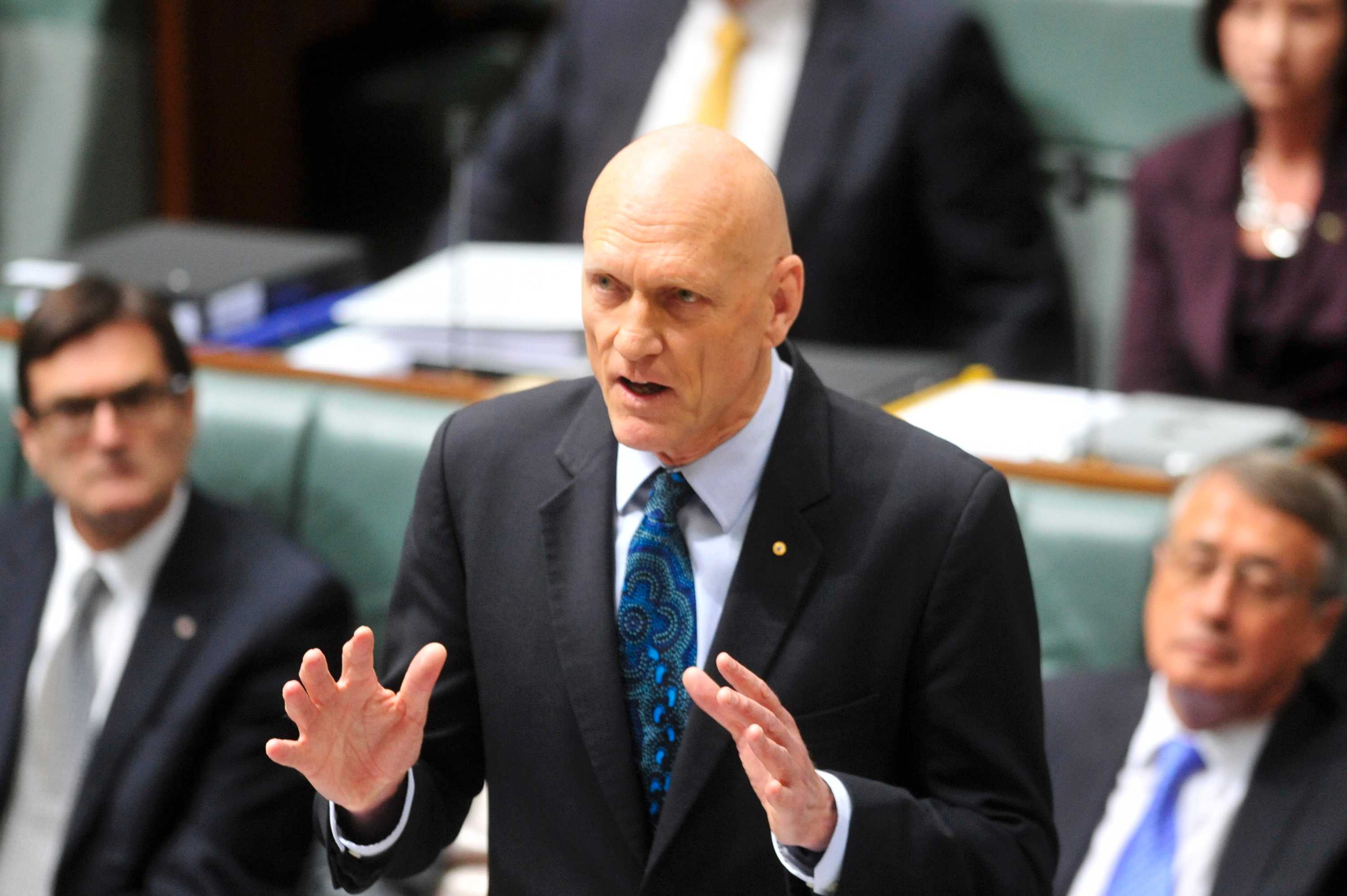 Education Minister Peter Garrett hopes Gonski's move to Senate will ...
