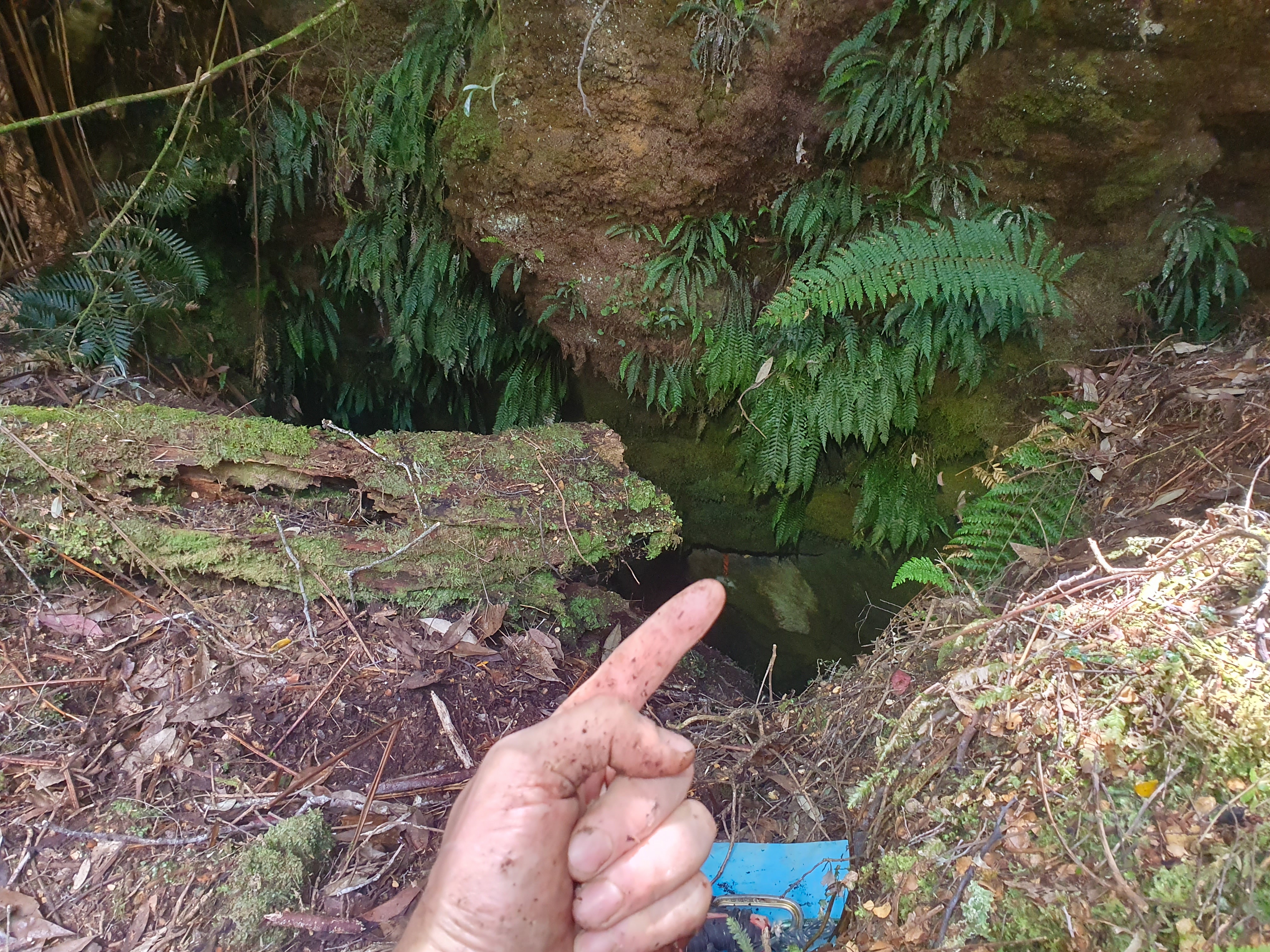 Small, muddy Tasmanian cave, JF 774, named after ABC Radio Melbourne ...