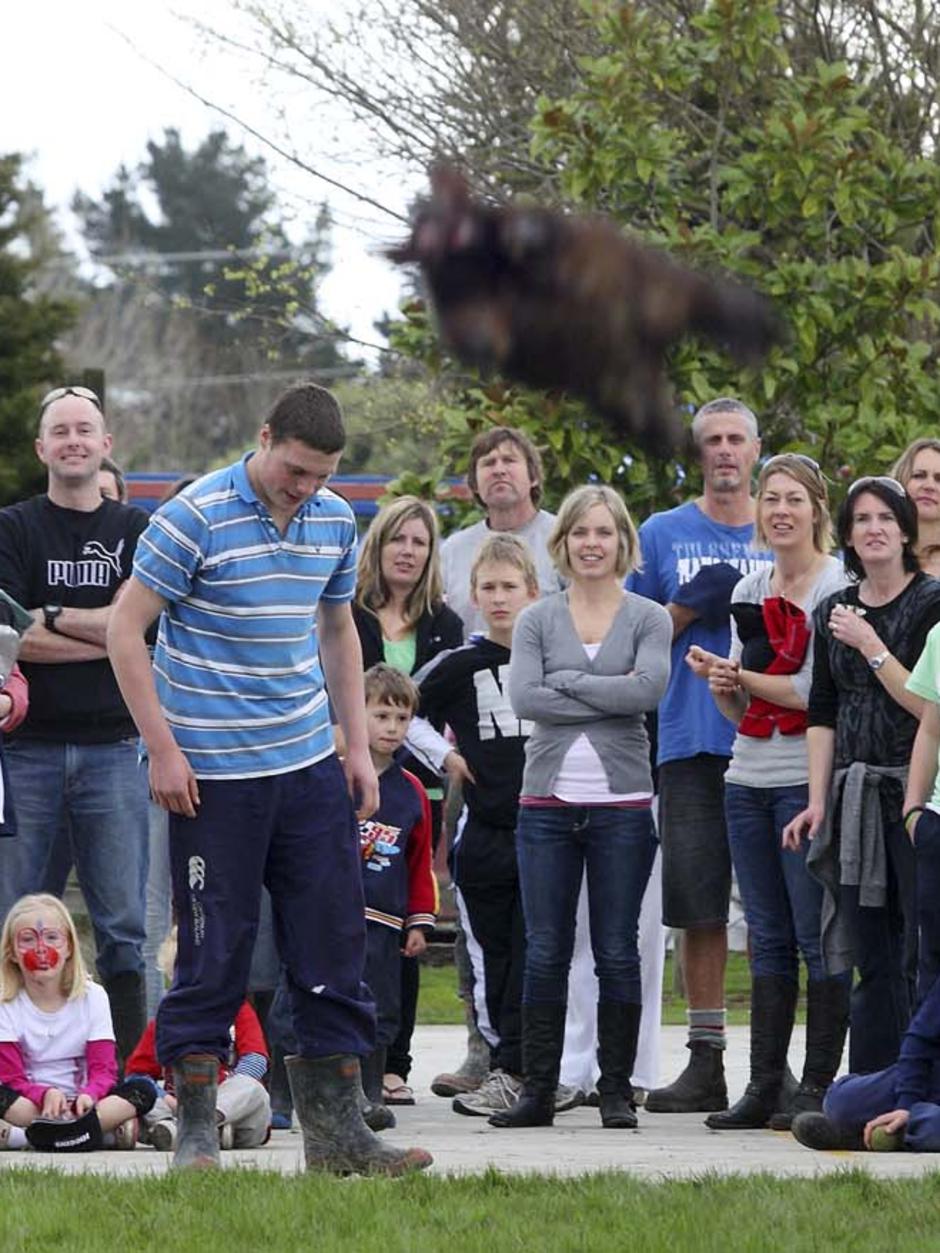 School under fire for possum-throwing contest - ABC News