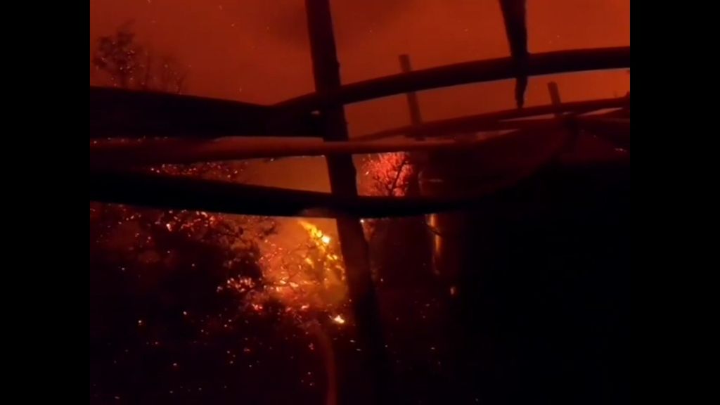 Bushfire survival stories emerge from New Year's Eve blazes in Victoria ...