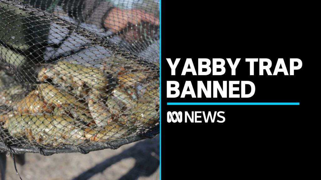 Popular yabby trap banned in South Australia - ABC News