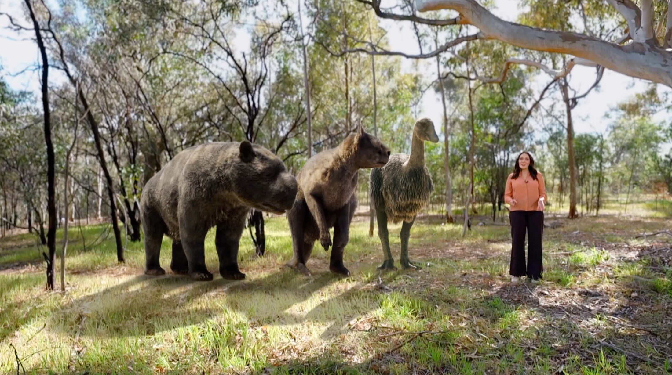 How much do you know about Australia's epic 65,000-year history? - ABC News