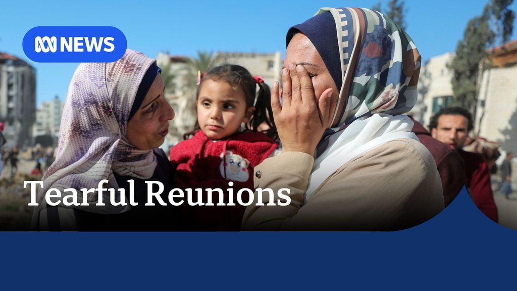 Emotional scenes as Palestinians return to northern Gaza - ABC News