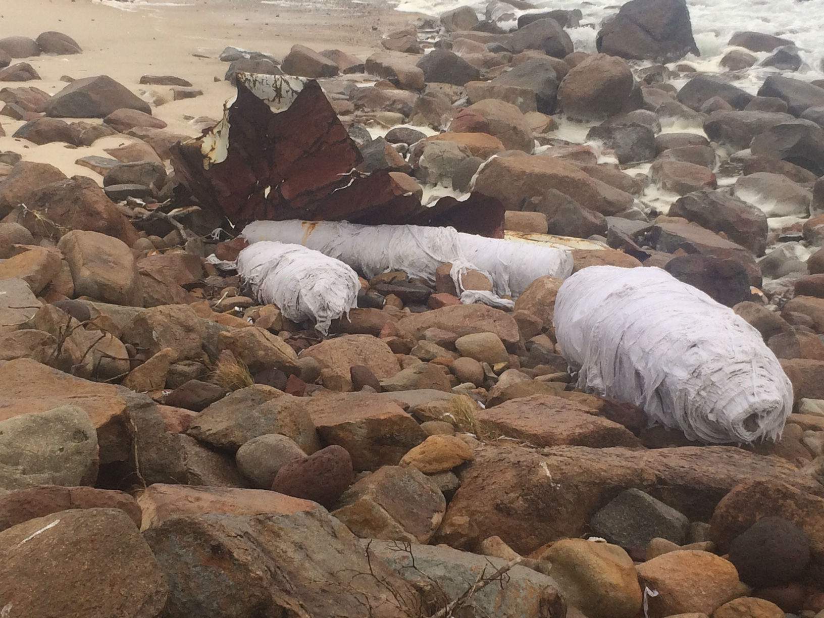 Shipping container debris washes ashore at Nelson Bay prompting local ...