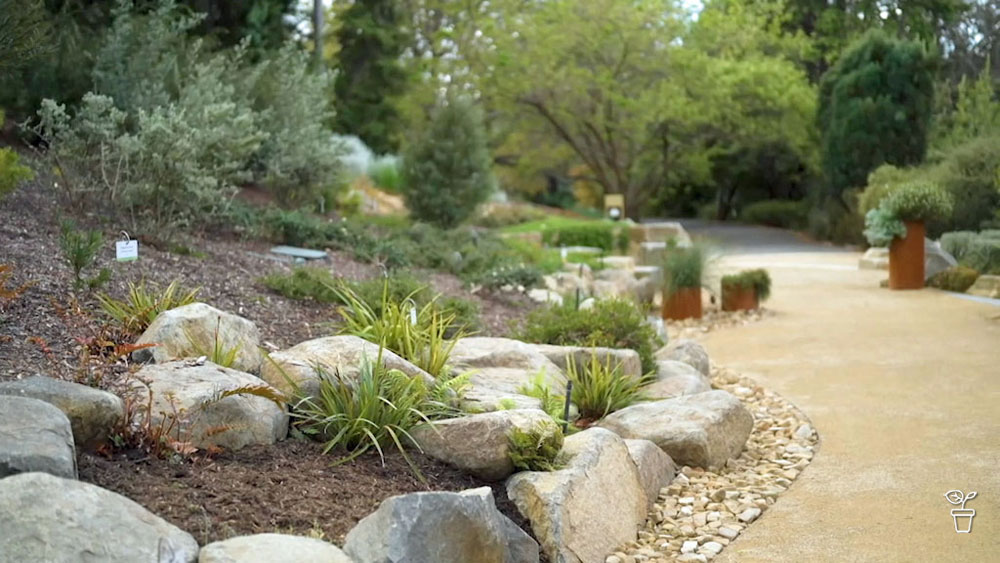 Tasmanian Collection - Gardening Australia
