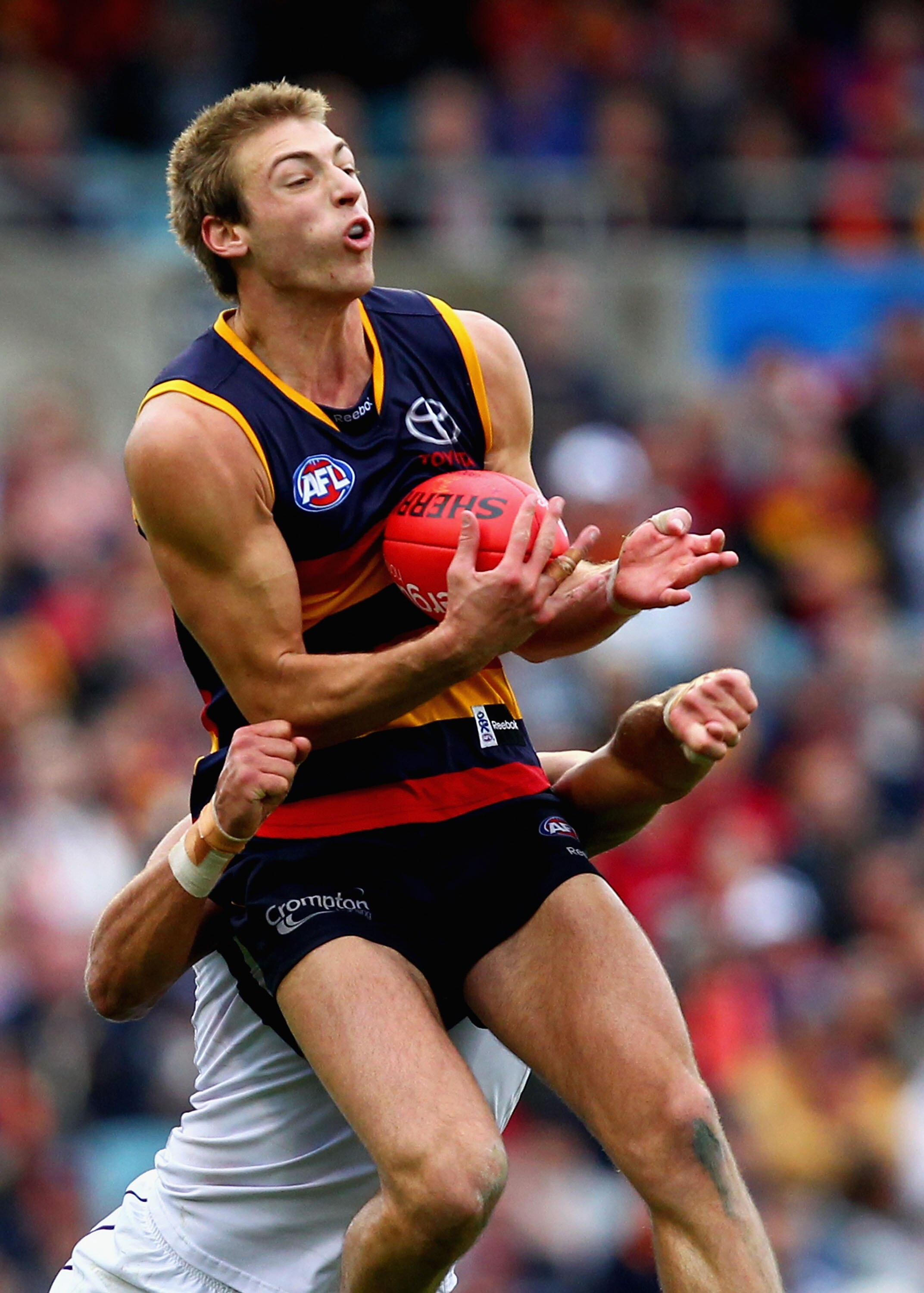 Daniel Talia, Adelaide Crows defender, pleads guilty to speeding due to ...