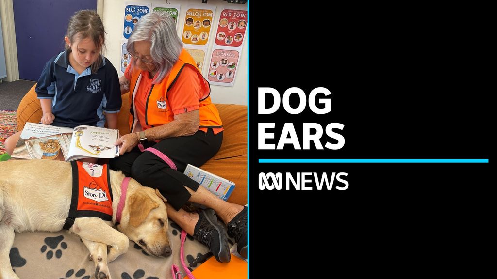 Story dogs giving kids confidence to read - ABC News
