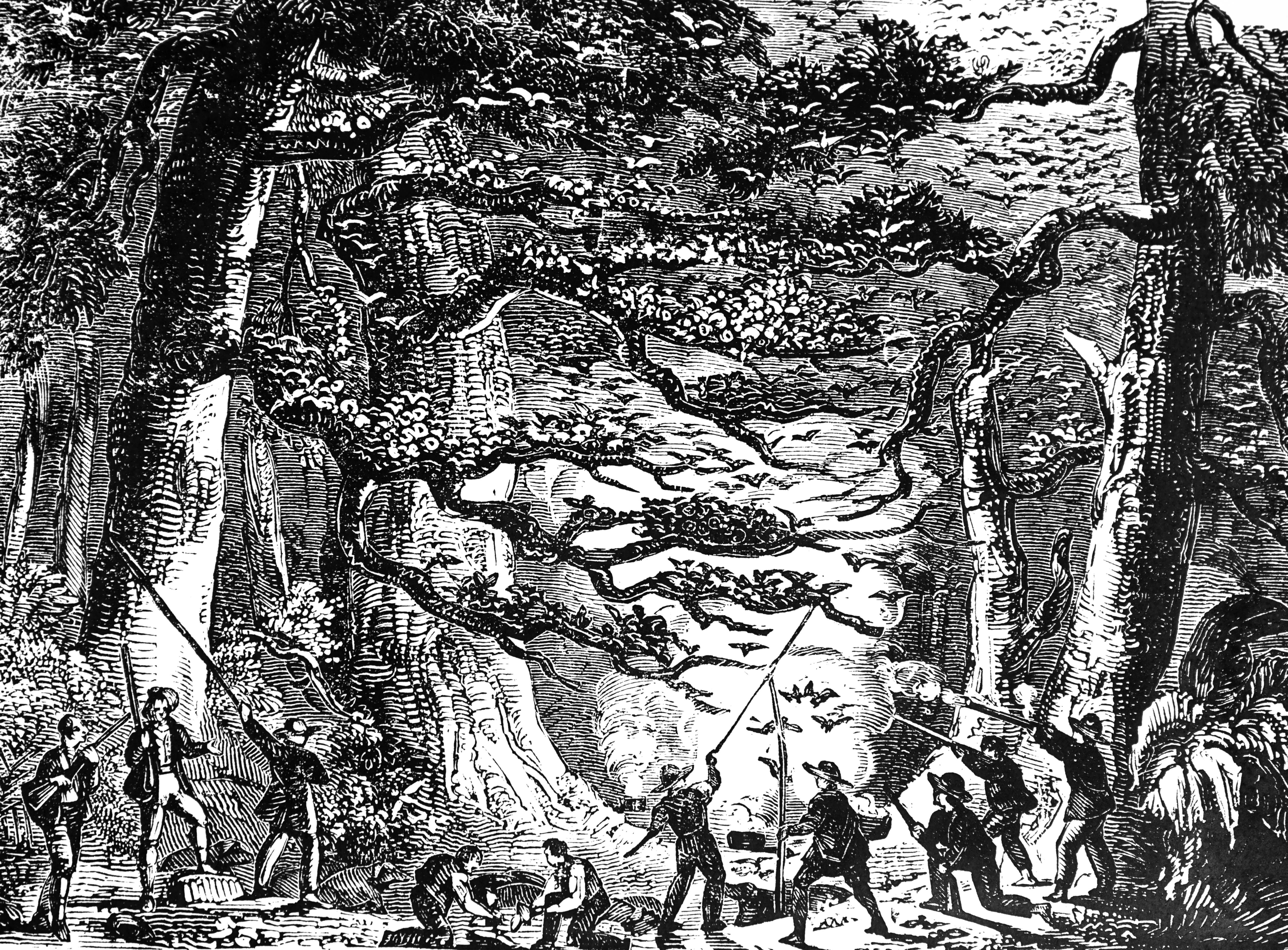 De-extinction, pt 2 - ABC listen