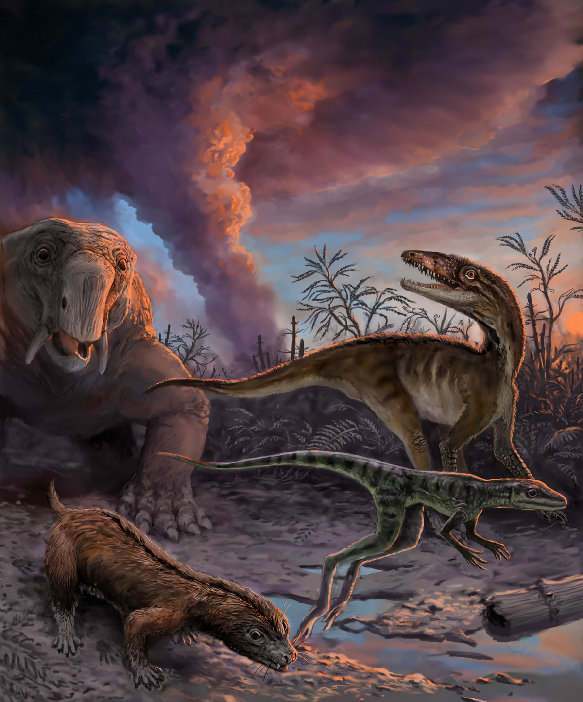 Fossils indicate dinosaurs evolved rapidly after first relatives ...