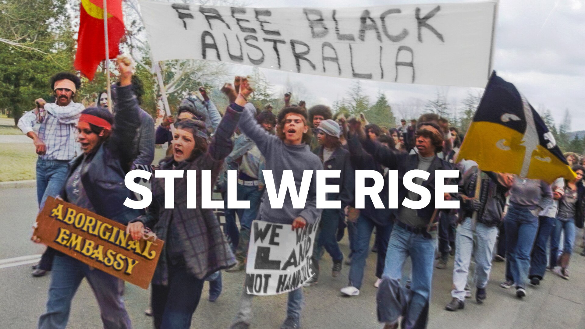 Still We Rise - ABC Content Sales
