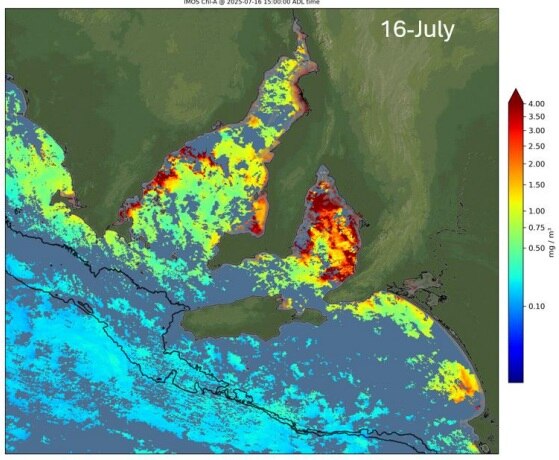 What is happening with SA's algal bloom and why should the rest of ...