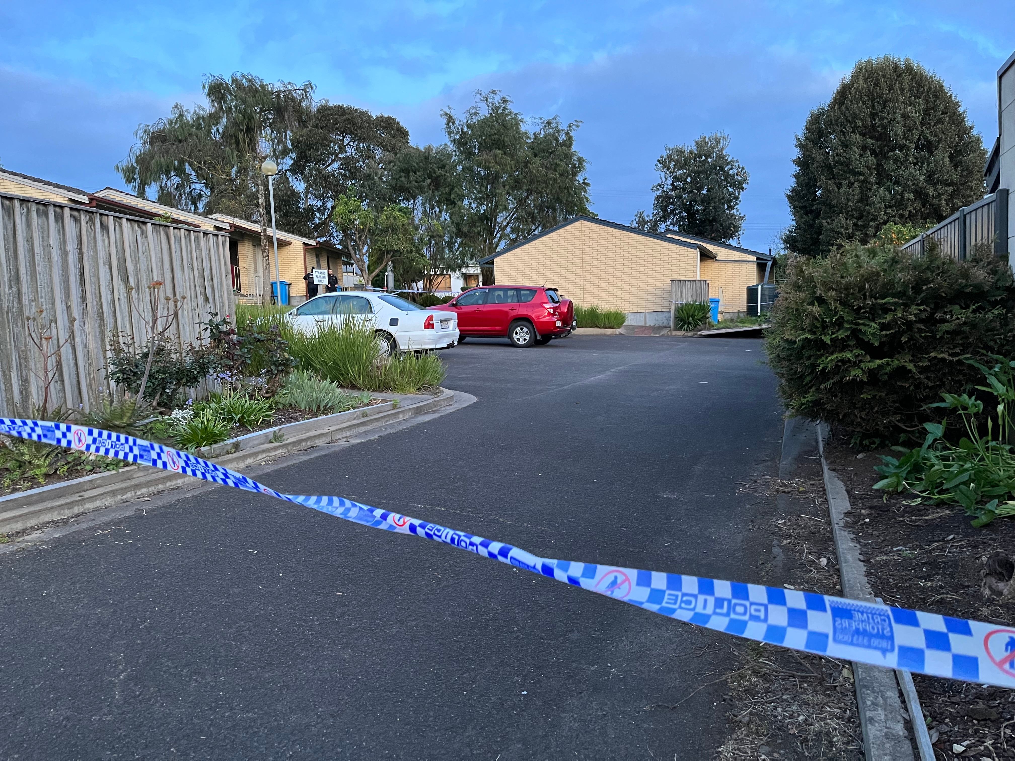 Josh Brine - ABC News