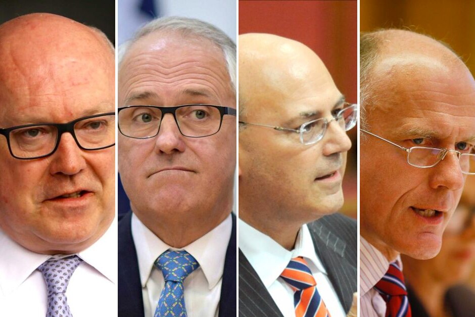 The power cuts of parliament: Baldness is in vogue - ABC News