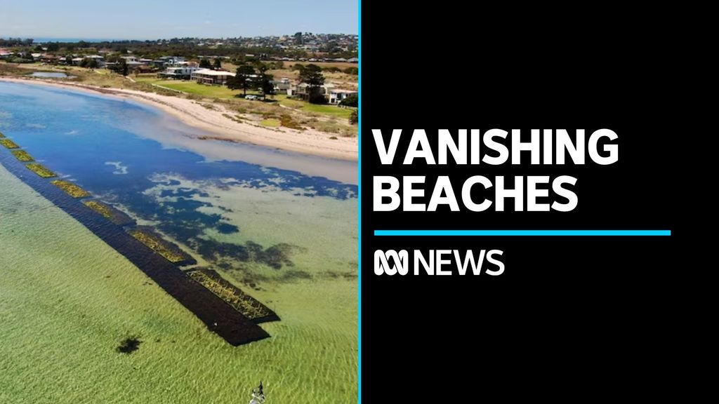 Artificial reefs help slow erosion and grow mangroves - ABC News