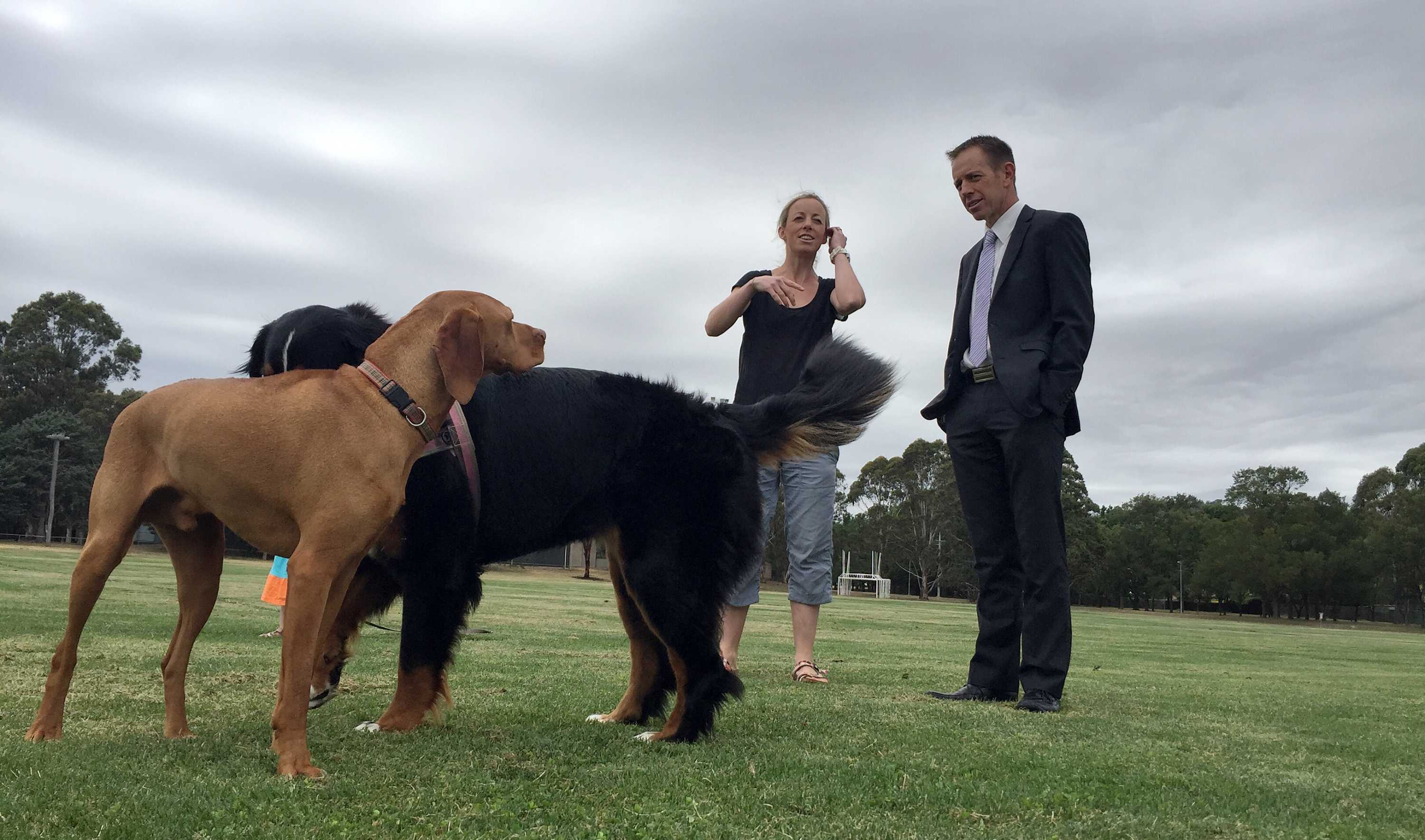 dog-walking-rules-set-to-change-in-canberra-abc-news