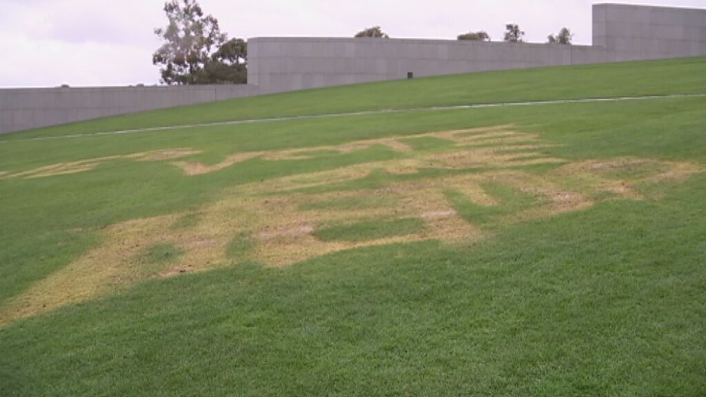 Hemp Party denies links to vandalism of Parliament House lawn in ...