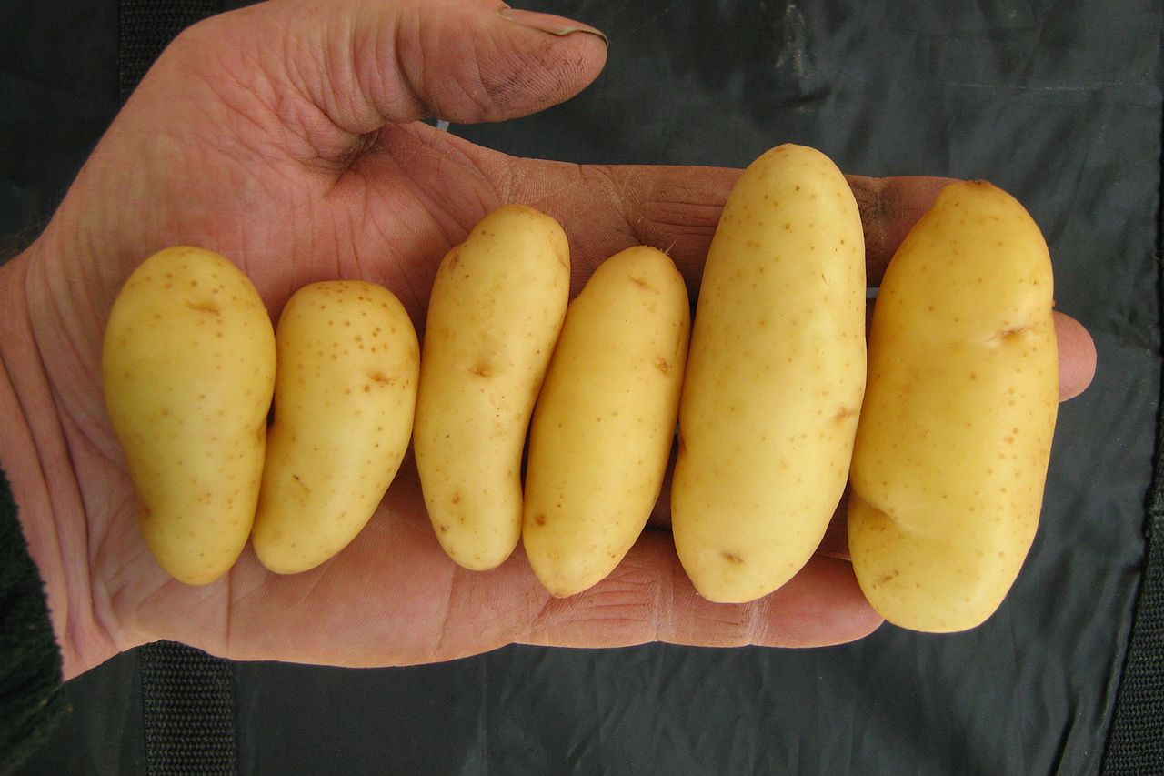 Anchors away - ABC News