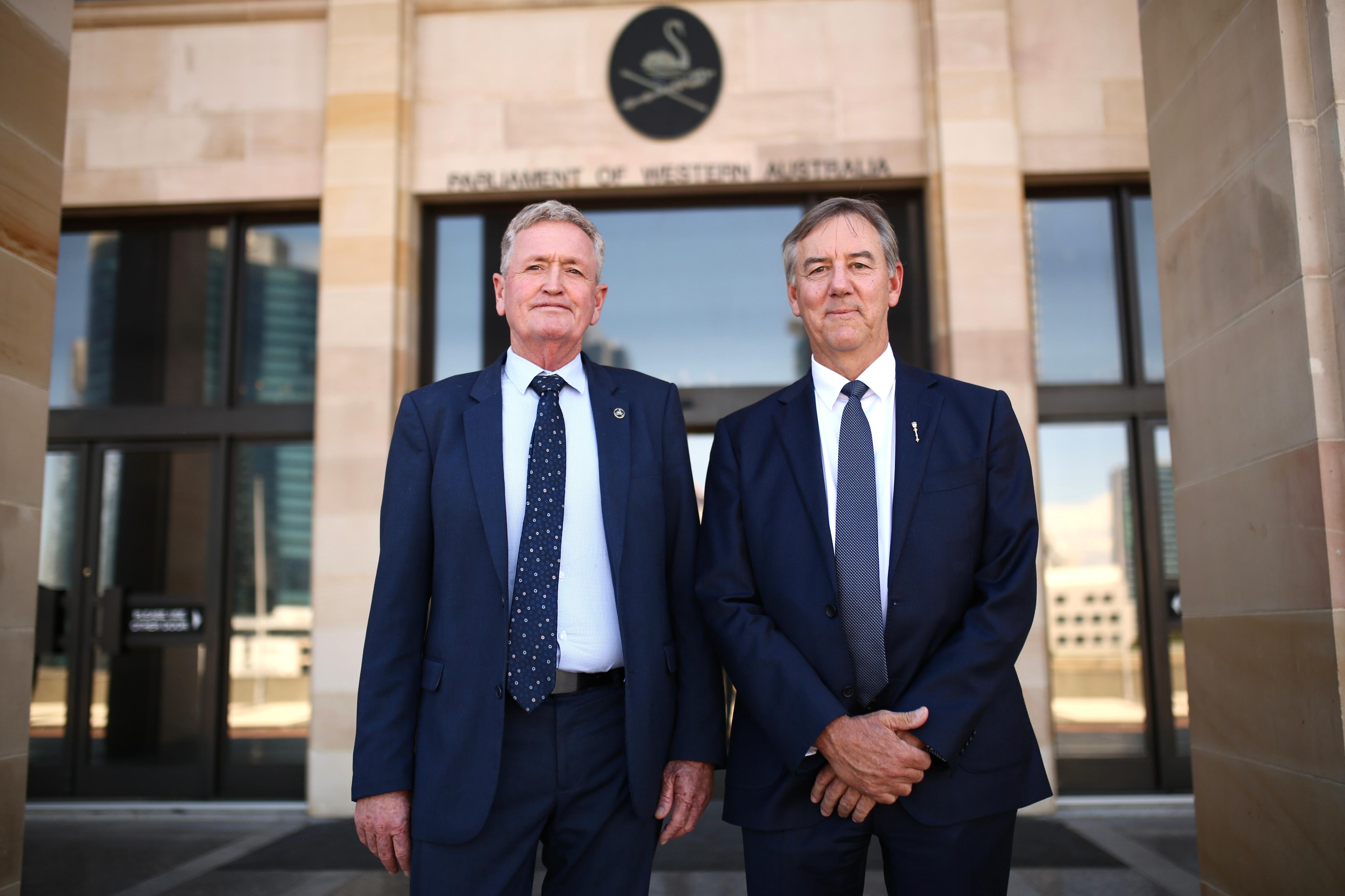 Libby Mettam's promotion to WA Liberals leader shakes up a depleted ...