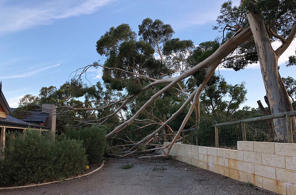 Damaging winds and bushfire cut power to 10,000 WA homes - ABC News