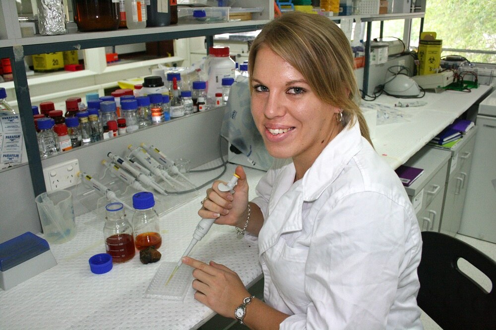 Substance from Australian bees could be used to relieve arthritis and ...